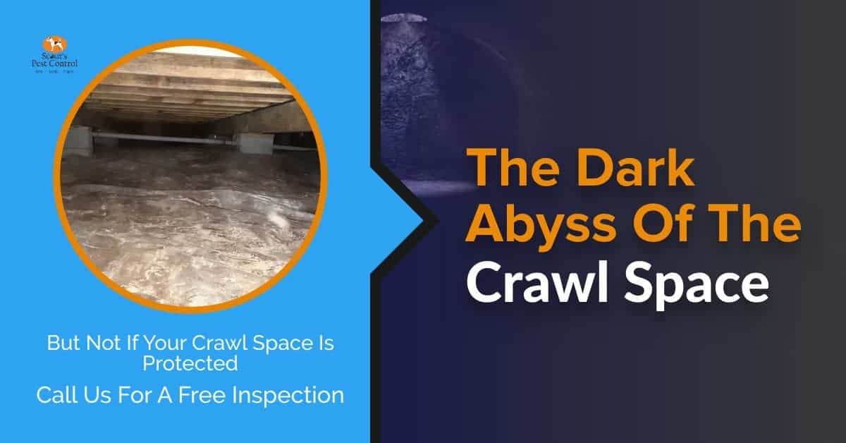 Crawl Space Encapsulation: The Dark Abyss Of Your Crawl Space