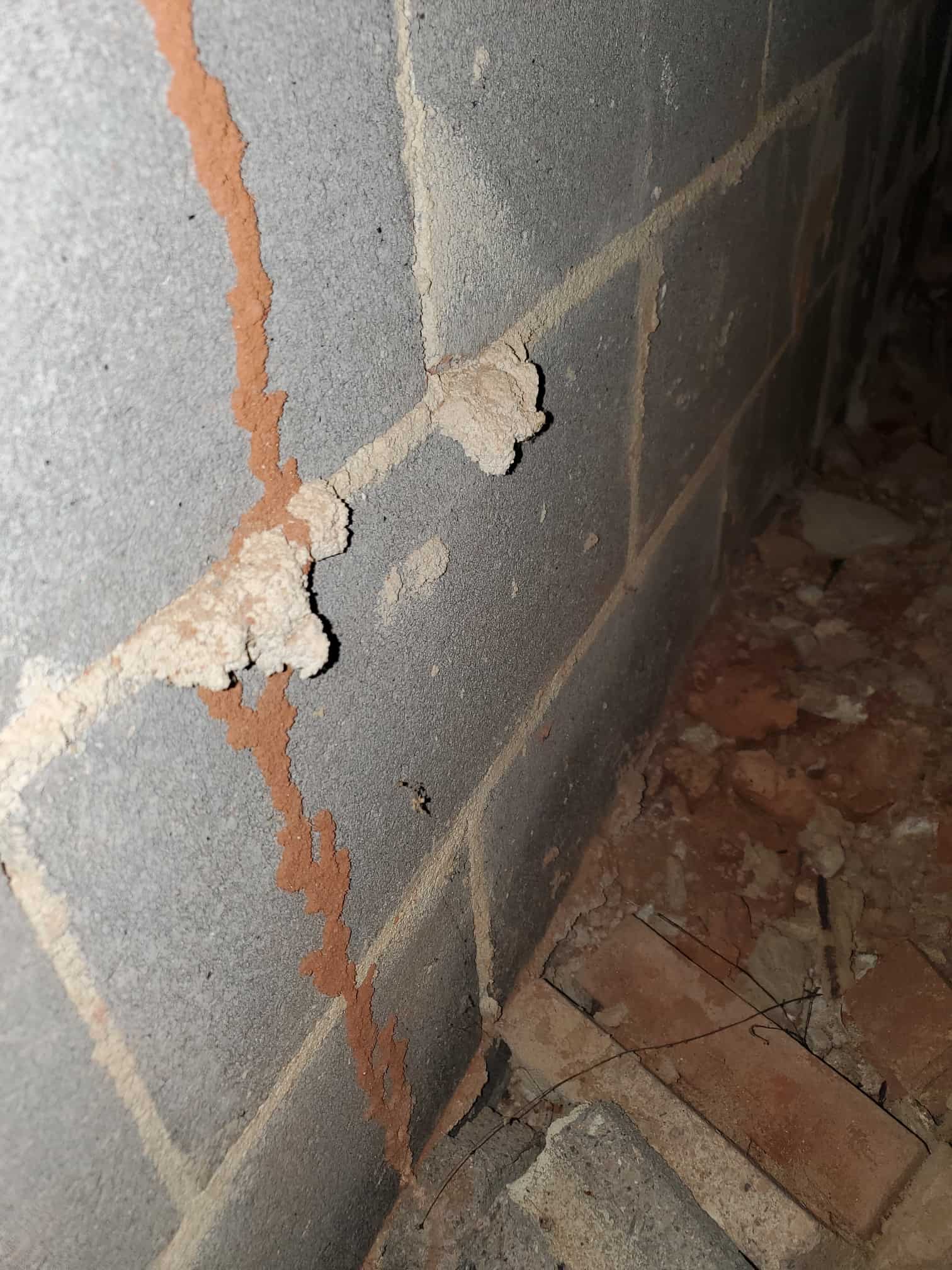 Scout's Pest Control | 864-469-4999 | Pest Control Greenville SC