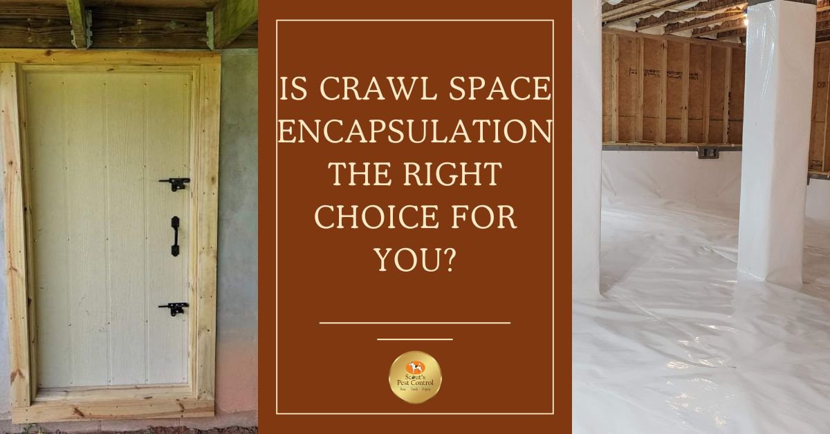 Evaluating the Pros and Cons Of Crawl Space Encapsulation