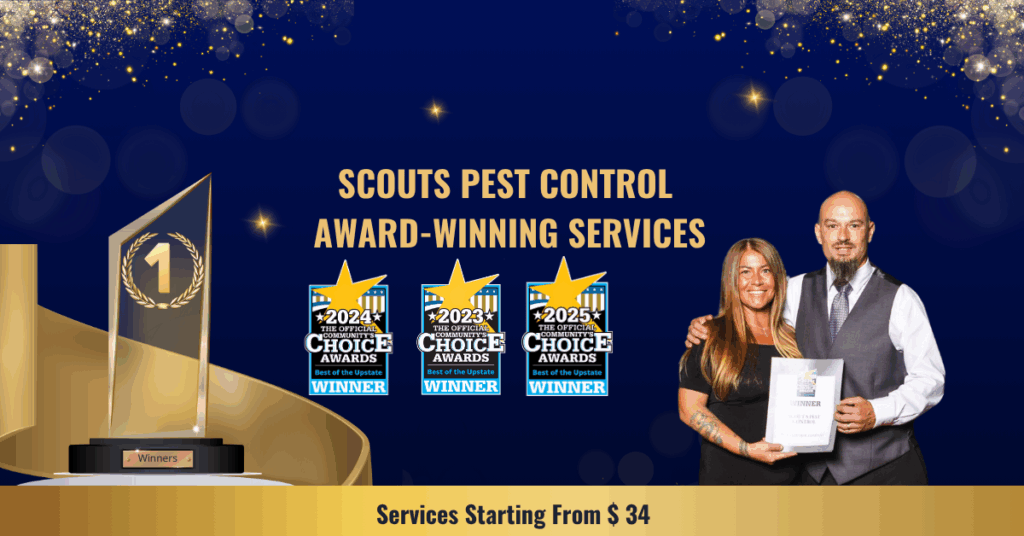 Termite Control in Townville, SC | Scouts Pest Control